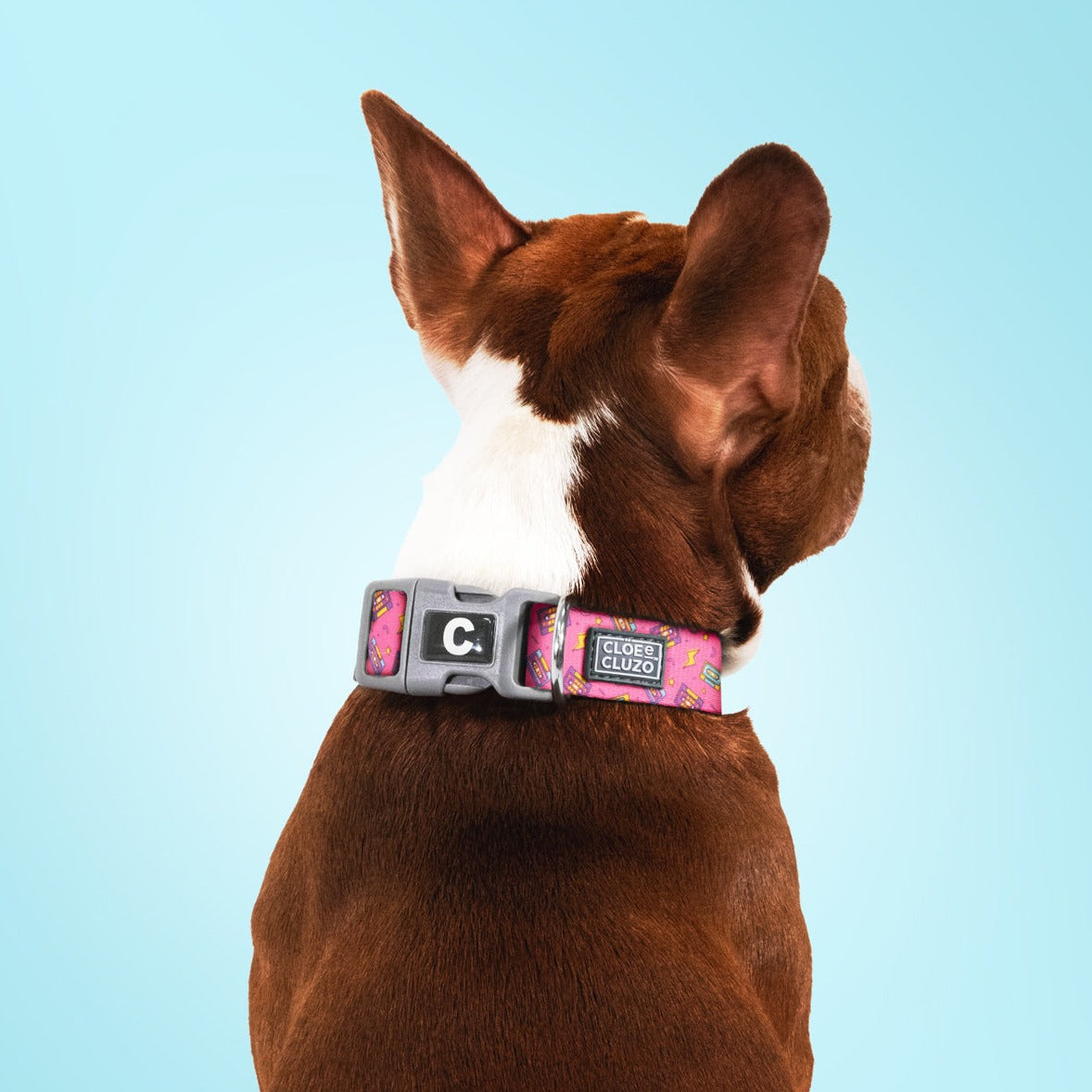 Cassette Printed Dog Collar – CloeCluzo