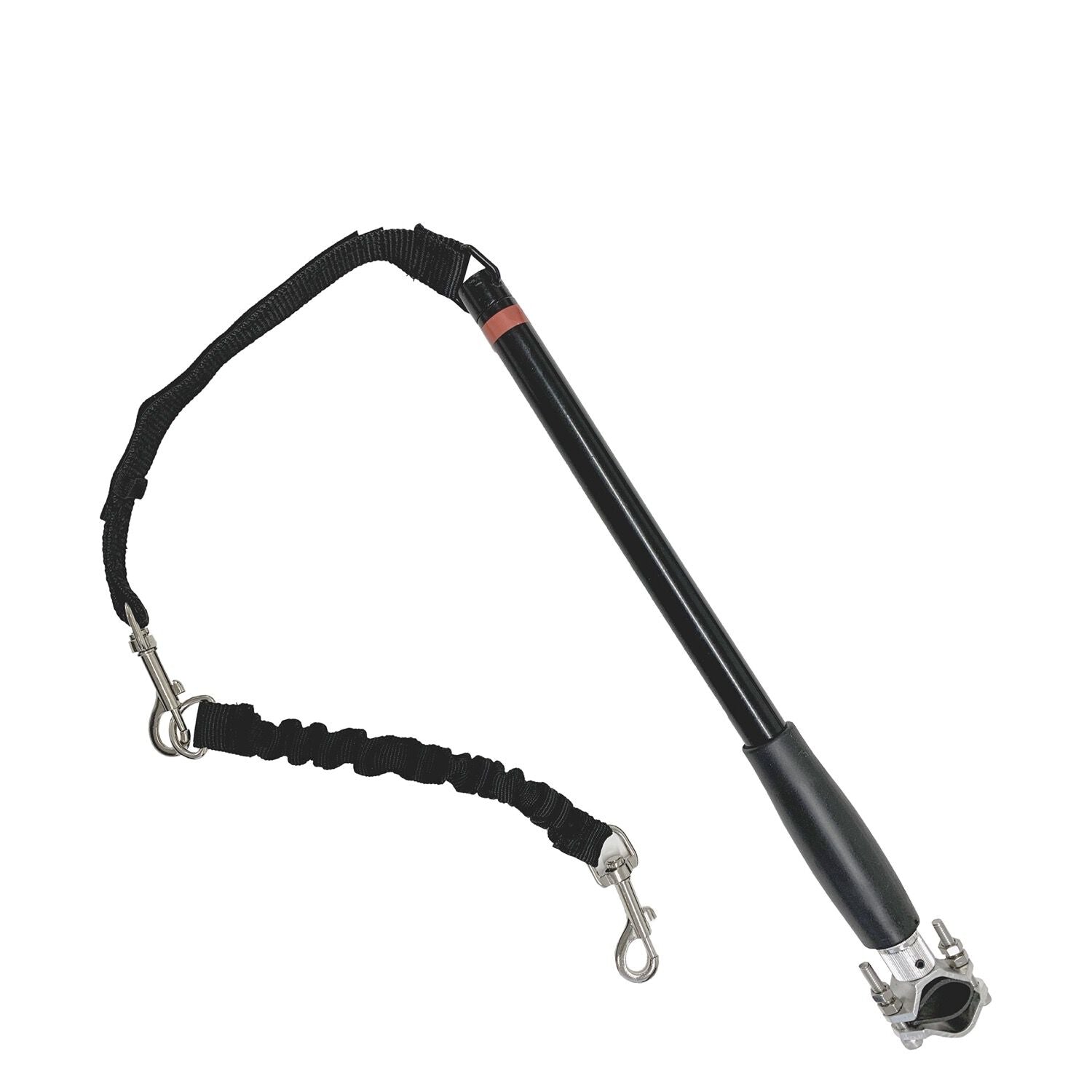 Bike Bungee Leash – CloeCluzo